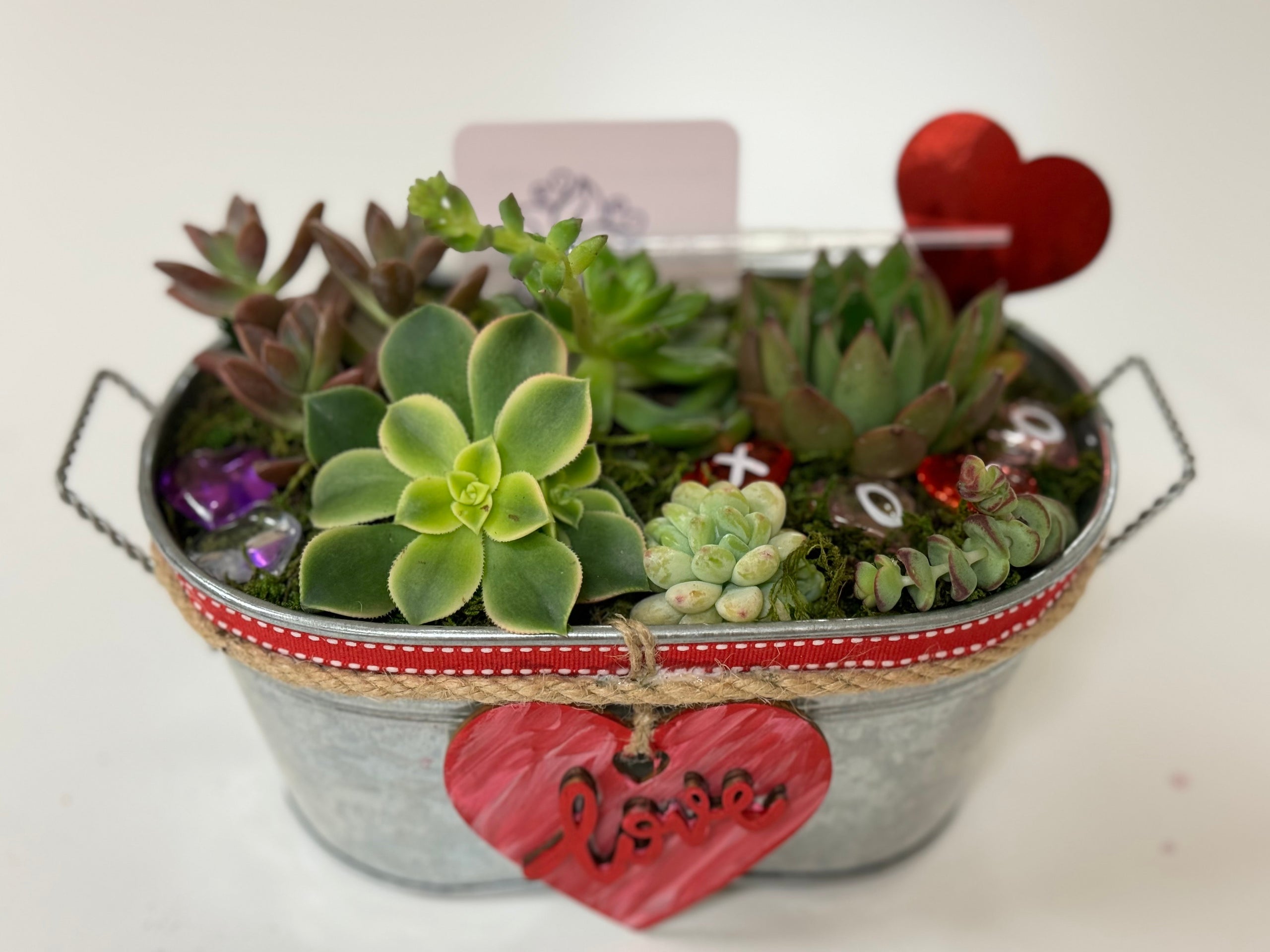 Succulent & Sip workshop at Breaux Vineyard | Succulent Treasures